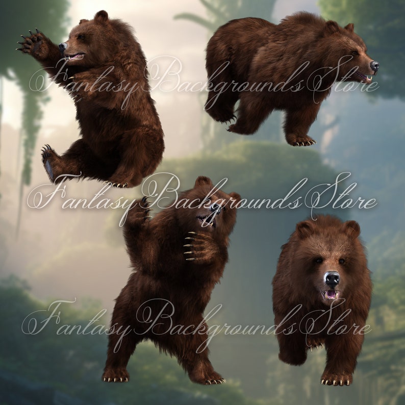 Bear Overlays , Animal Overlays , Fantasy Animal Overlays - Etsy