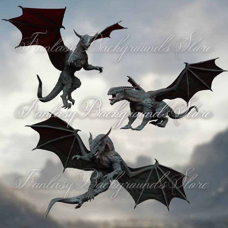 Fantasy Dragon Overlays , Dragon Overlays , Photoshop File , PNG File ...