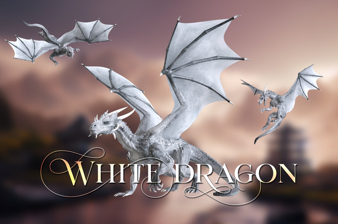 Dragon Overlays Backdrop Photo Overlays , Photography Backgrounds and ...