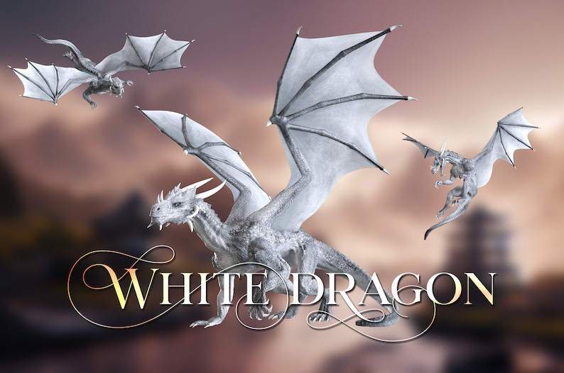 Dragon Overlays Backdrop Photo Overlays , Photography Backgrounds and ...