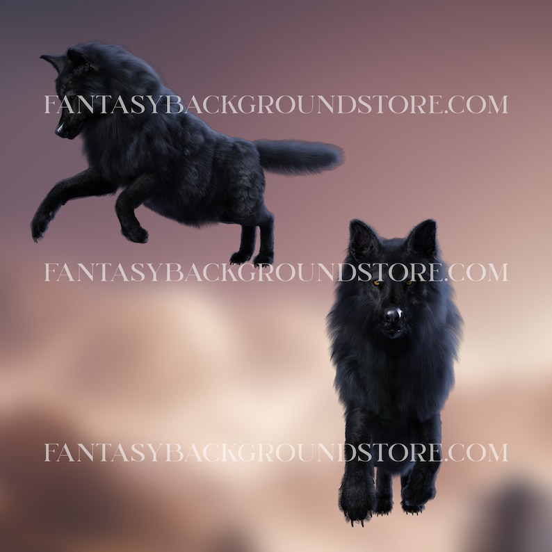 23 Fantasy Wolf Overlays - Etsy