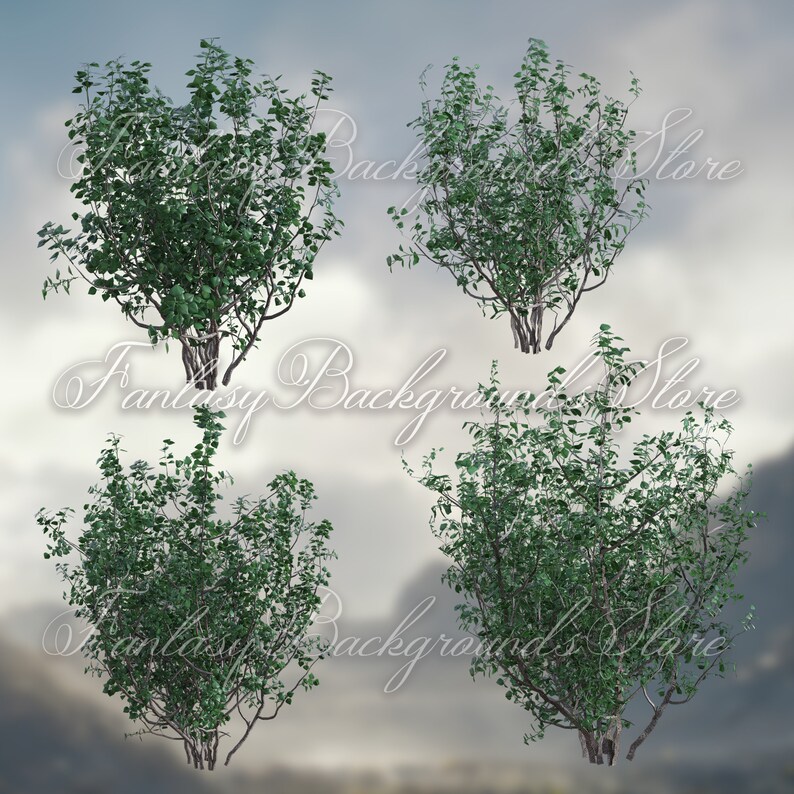 Fairy Houses Overlays , Flower Overlays , Bushes Overlays , Fantasy ...