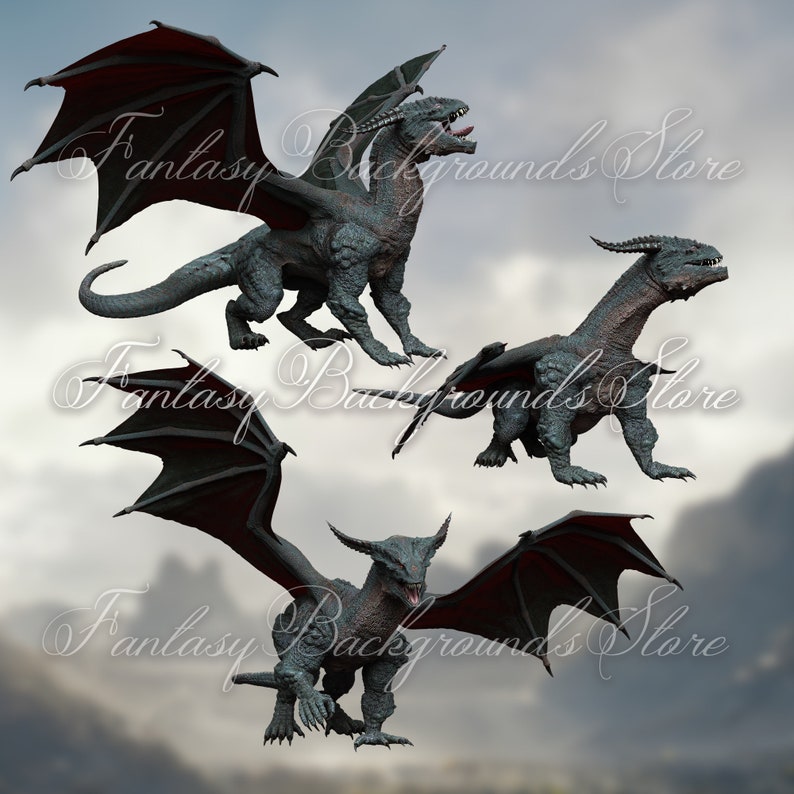 Fantasy Dragon Overlays , Dragon Overlays , Photoshop File , PNG File ...