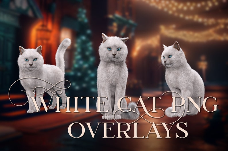 White Cat Overlays , Cat Fantasy Overlays, Cat Backdrop Photo Overlays ...