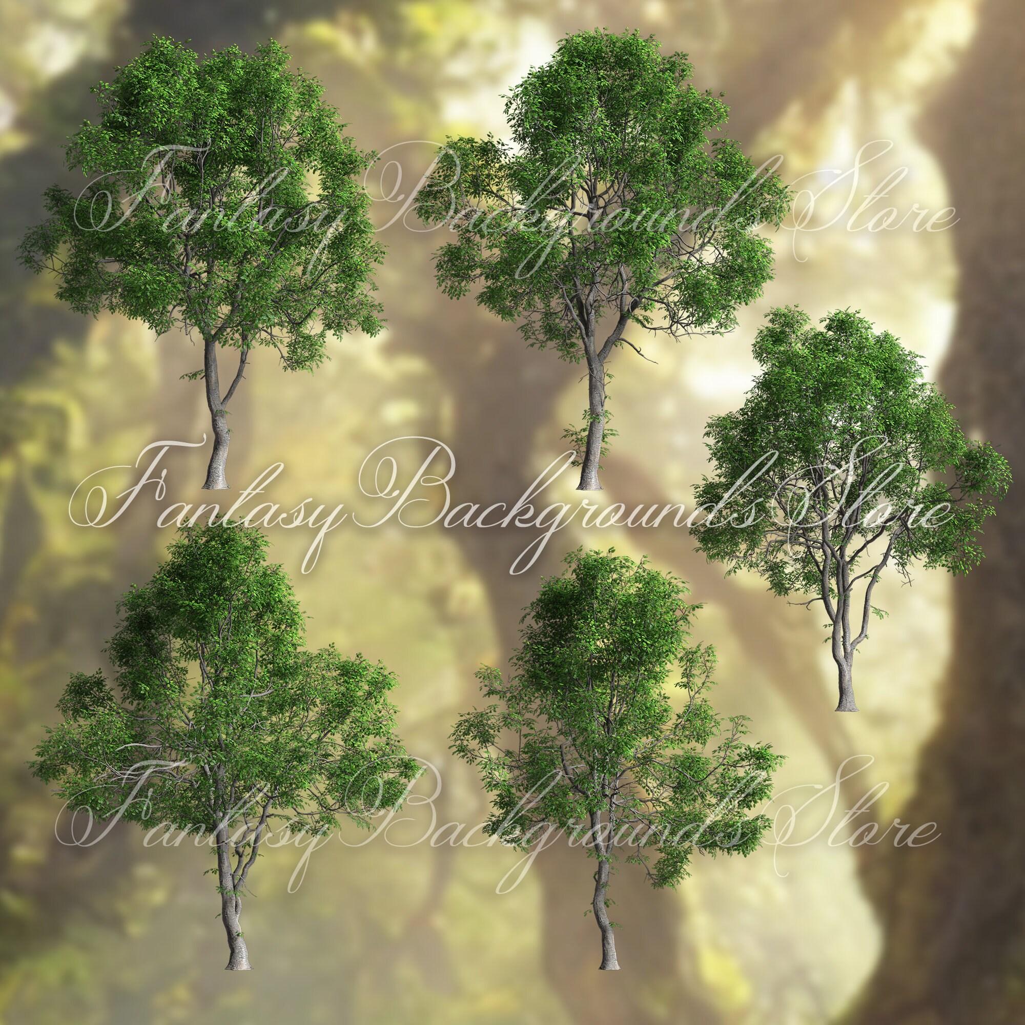 Green Trees Overlays , Tree Overlays , Overlays for Photoshop, Trees ...