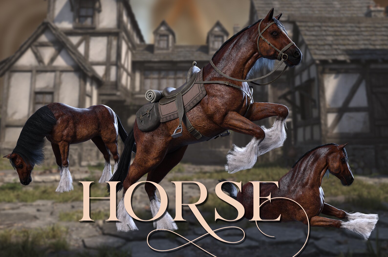 Horse Overlays Backdrop Photo Overlays , Photography Backgrounds and ...