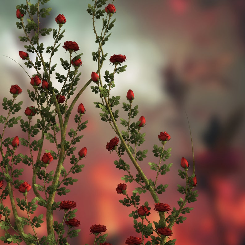 Gazebo With Roses Overlays , Rose Vines Overlays , Gazebo Overlays - Etsy