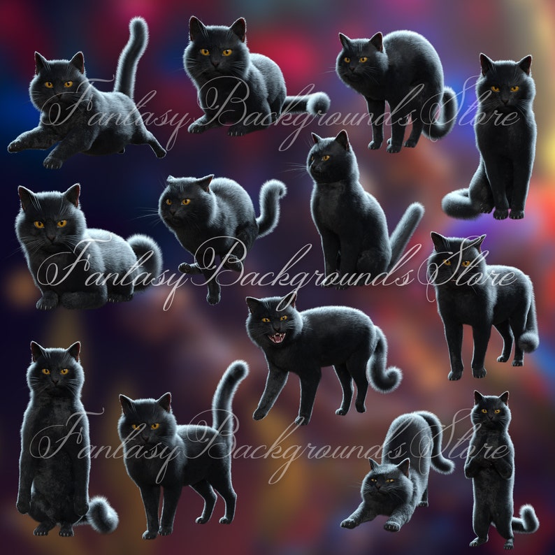 Black Cat Overlays , Cat Fantasy Overlays, Cat Backdrop Photo Overlays ...