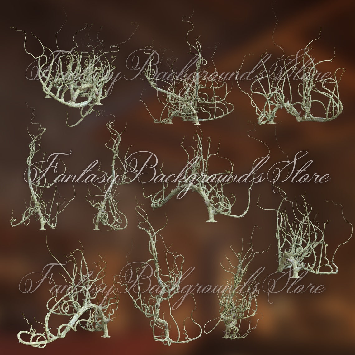 Vines & Thorns Overlays , Digital Vines , Thorns - Etsy