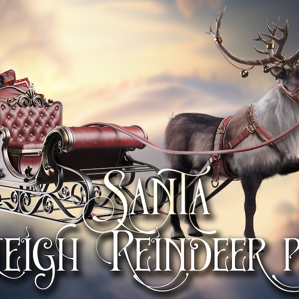 Sleigh and Reindeer - Etsy