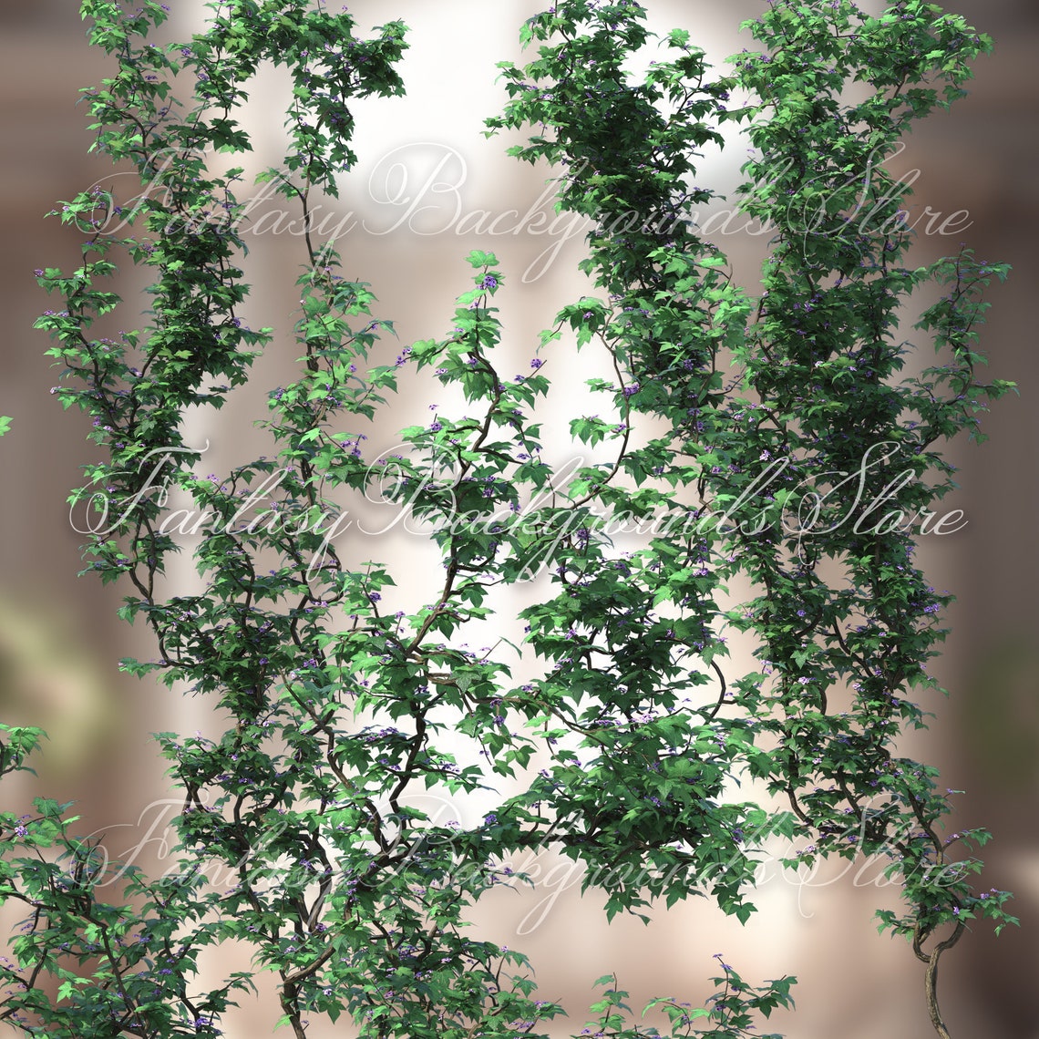 Digital Green Vines, Vines Fantasy Plants , Decoration , Clipart ...