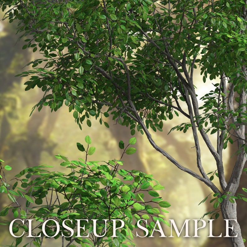 Green Trees Overlays , Tree Overlays , Overlays for Photoshop, Trees ...