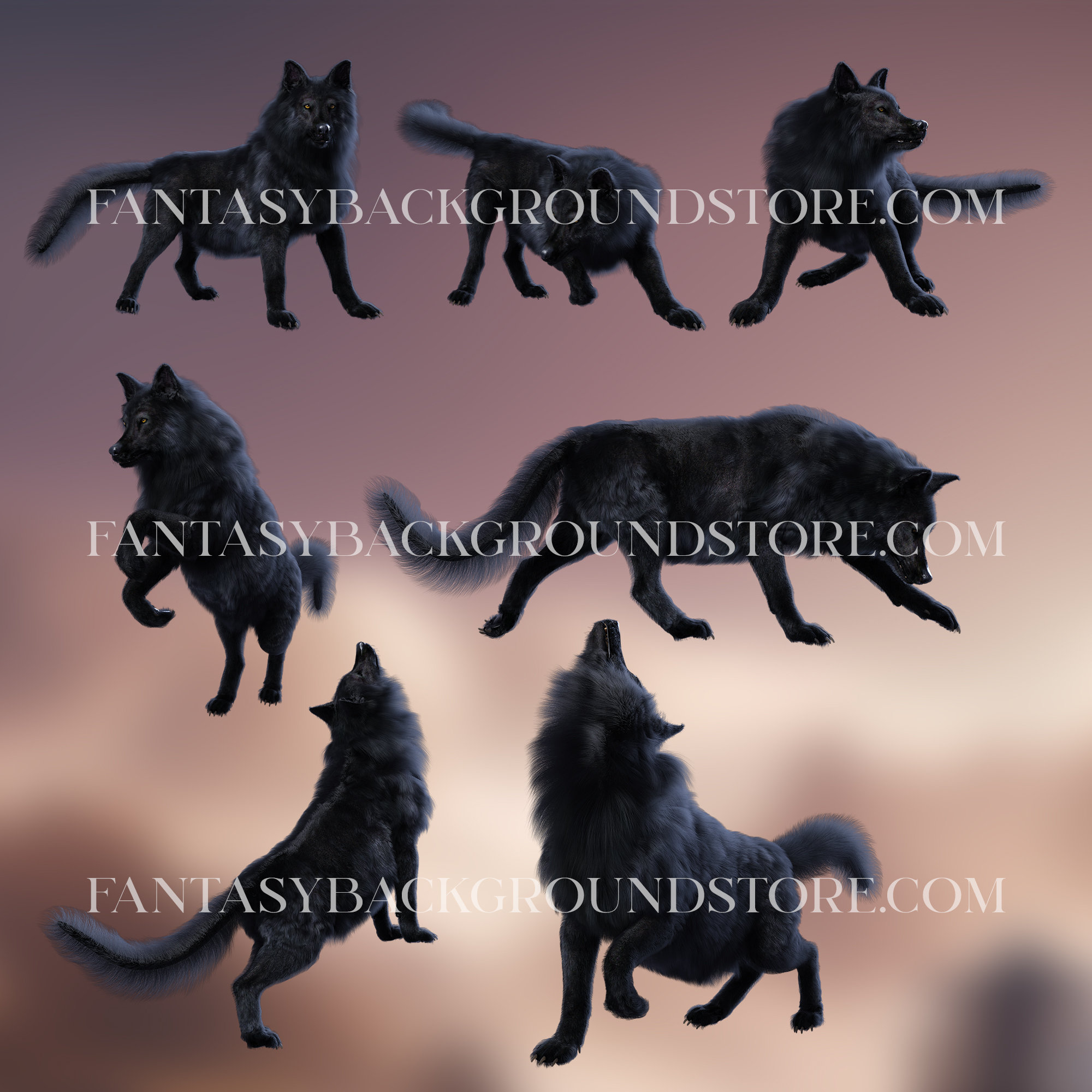 23 Fantasy Wolf Overlays - Etsy