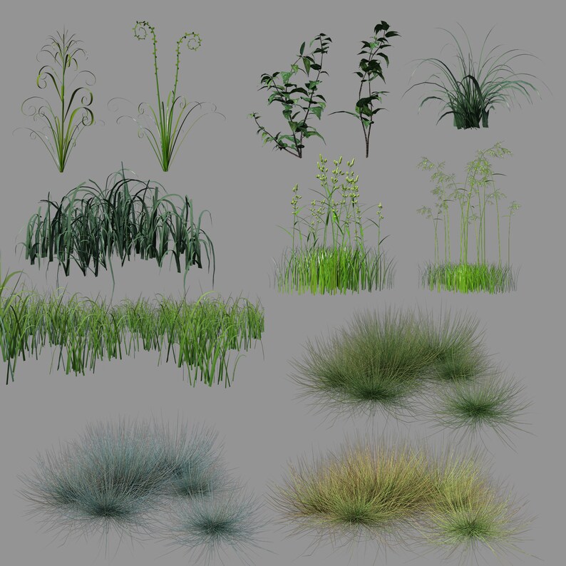 Grass Overlays , Photoshop , Plants, Cutouts, Scrapbooking, PNG ...