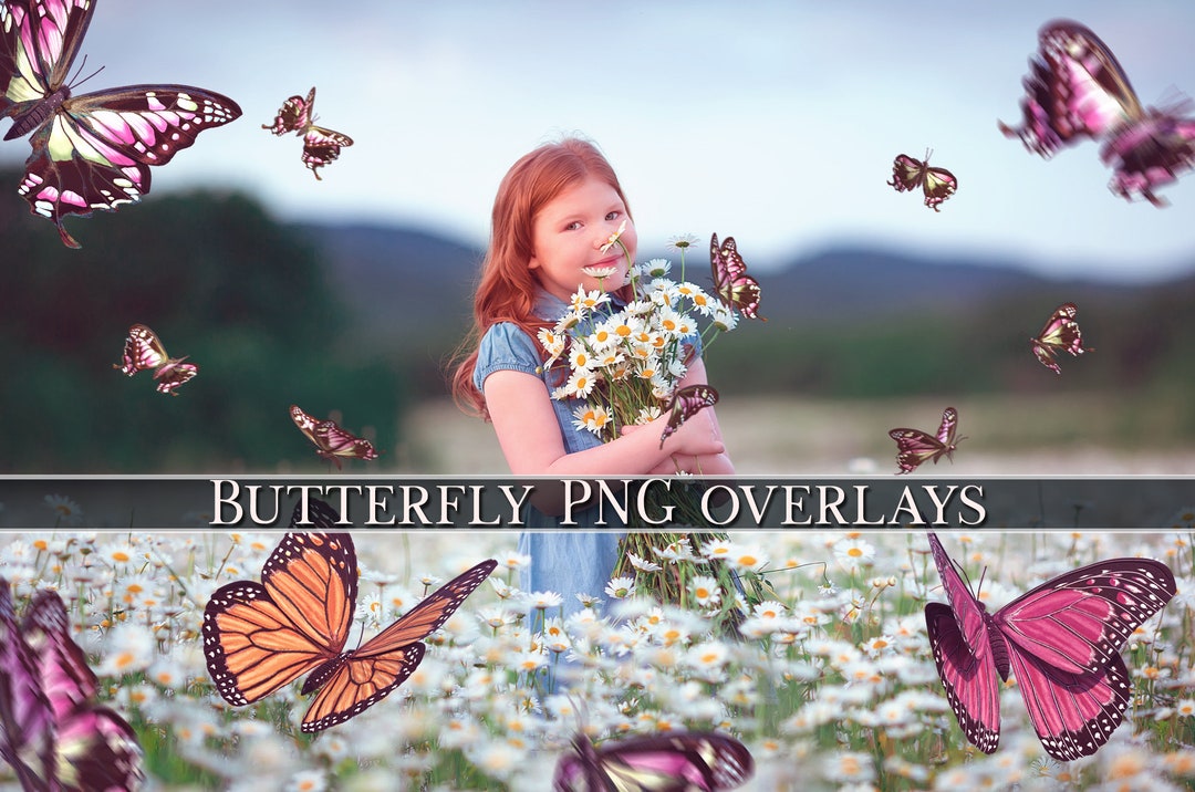 Butterfly Overlays , Png Butterfly , Flying Butterfly , Photoshop ...
