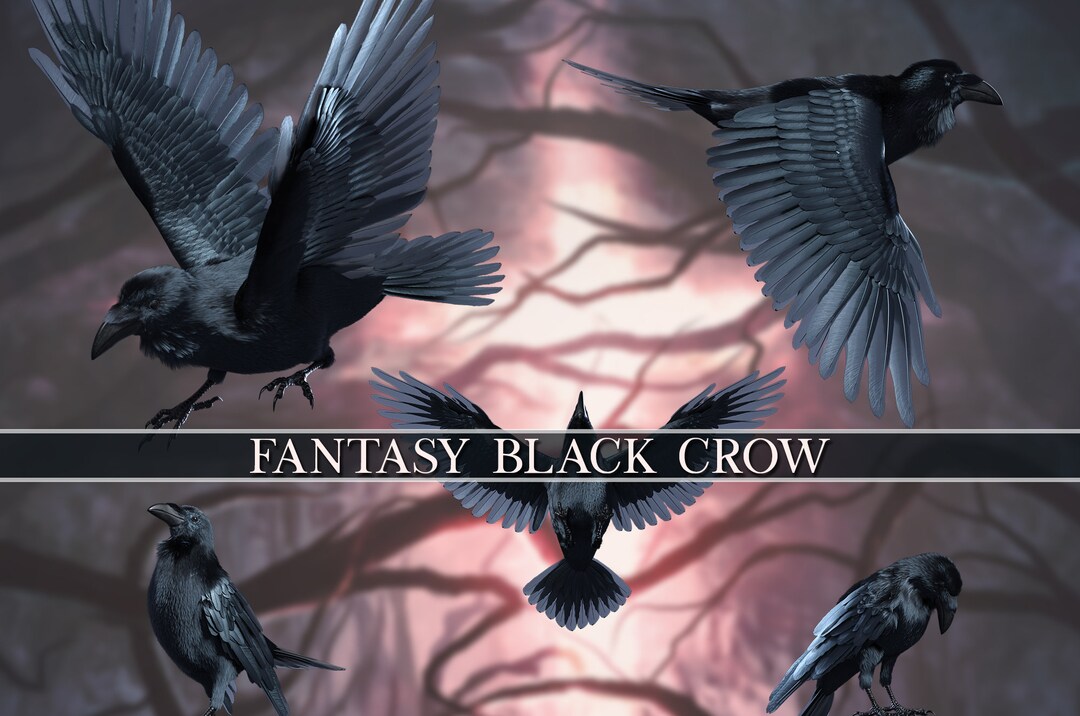 Crow , Raven , Halloween, Gothic PNG Overlay ,fantasy Crow , Photoshop ...