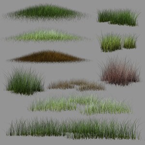 Grass Overlays , Photoshop , Plants, Cutouts, Scrapbooking, PNG ...