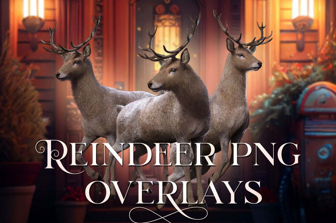 Reindeer Overlays, Reindeer Png Art - Etsy Canada