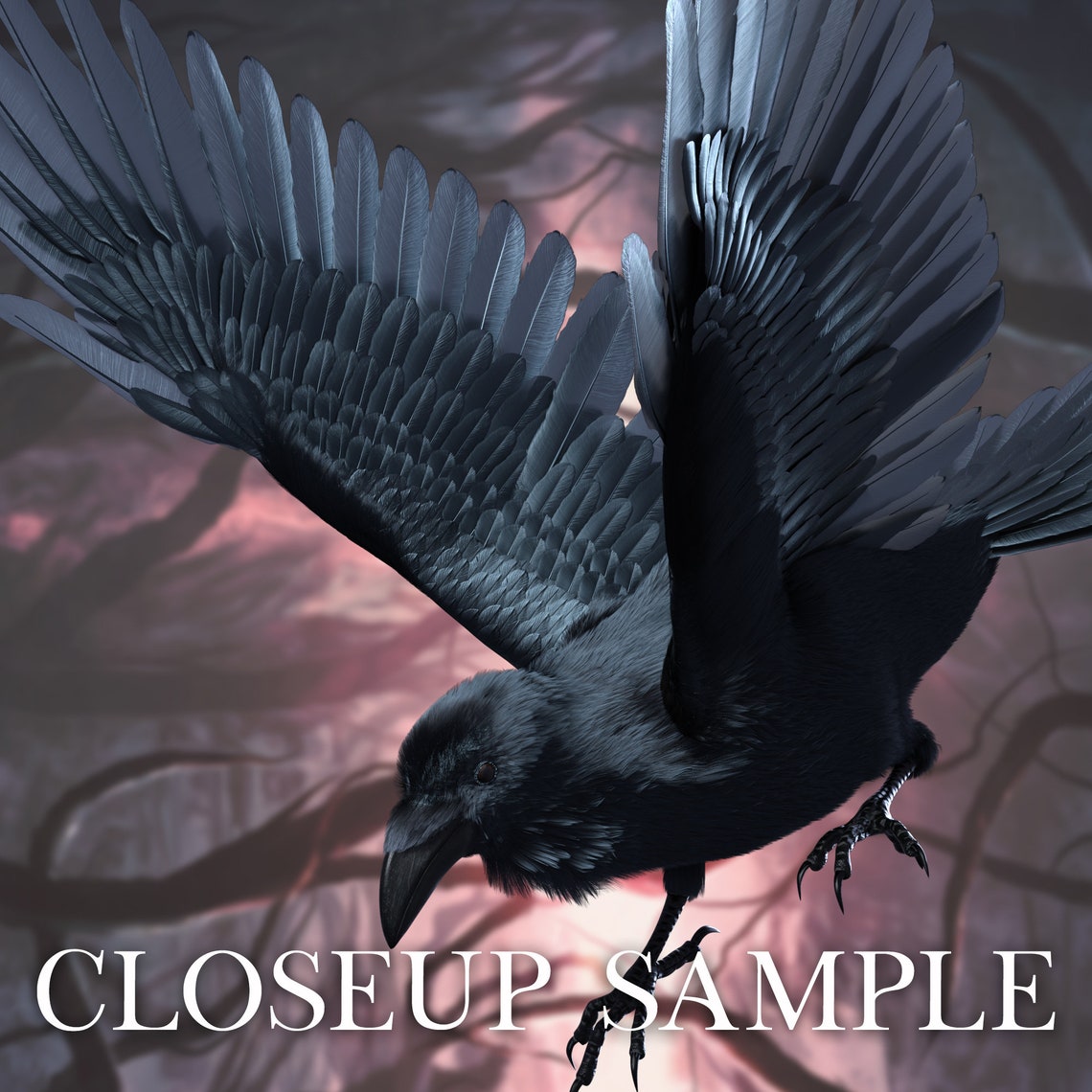 Crow , Raven , Halloween, Gothic PNG Overlay ,fantasy Crow , Photoshop ...