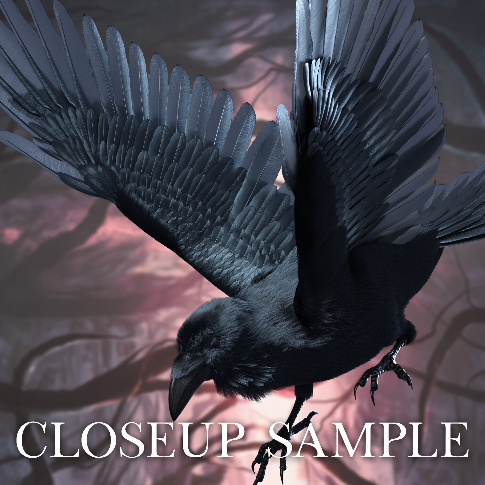 Crow , Raven , Halloween, Gothic PNG Overlay ,fantasy Crow , Photoshop ...