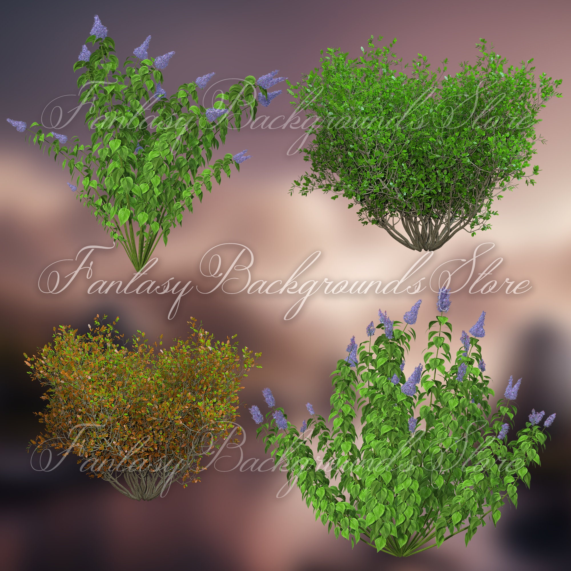 Flowers , Bushes Overlays Backdrop Photo Overlays , Photography ...