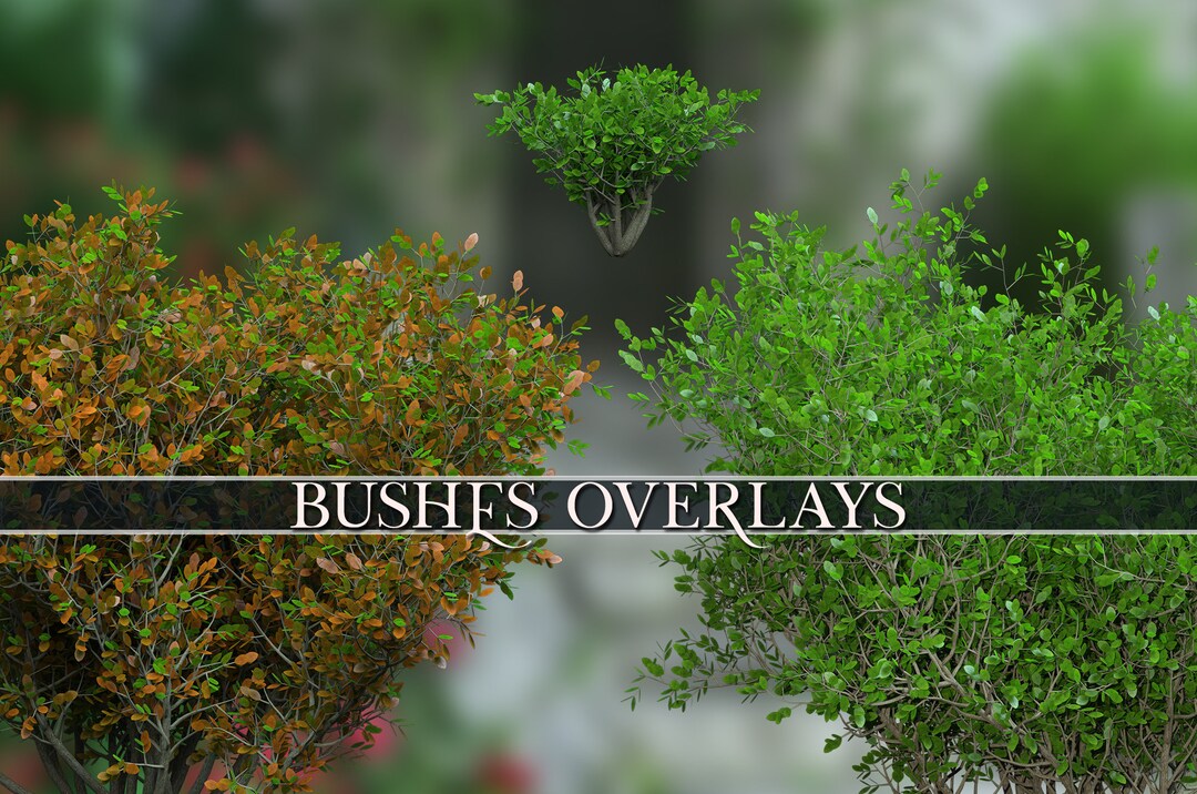 Bush Overlays, Green, Autumn Overlays, Overlays - Etsy