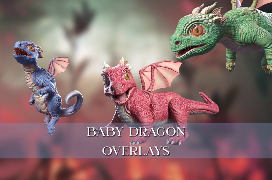 Digital Baby Dragon Overlays , Fantasy Dragon , Overlays , PNG - Etsy