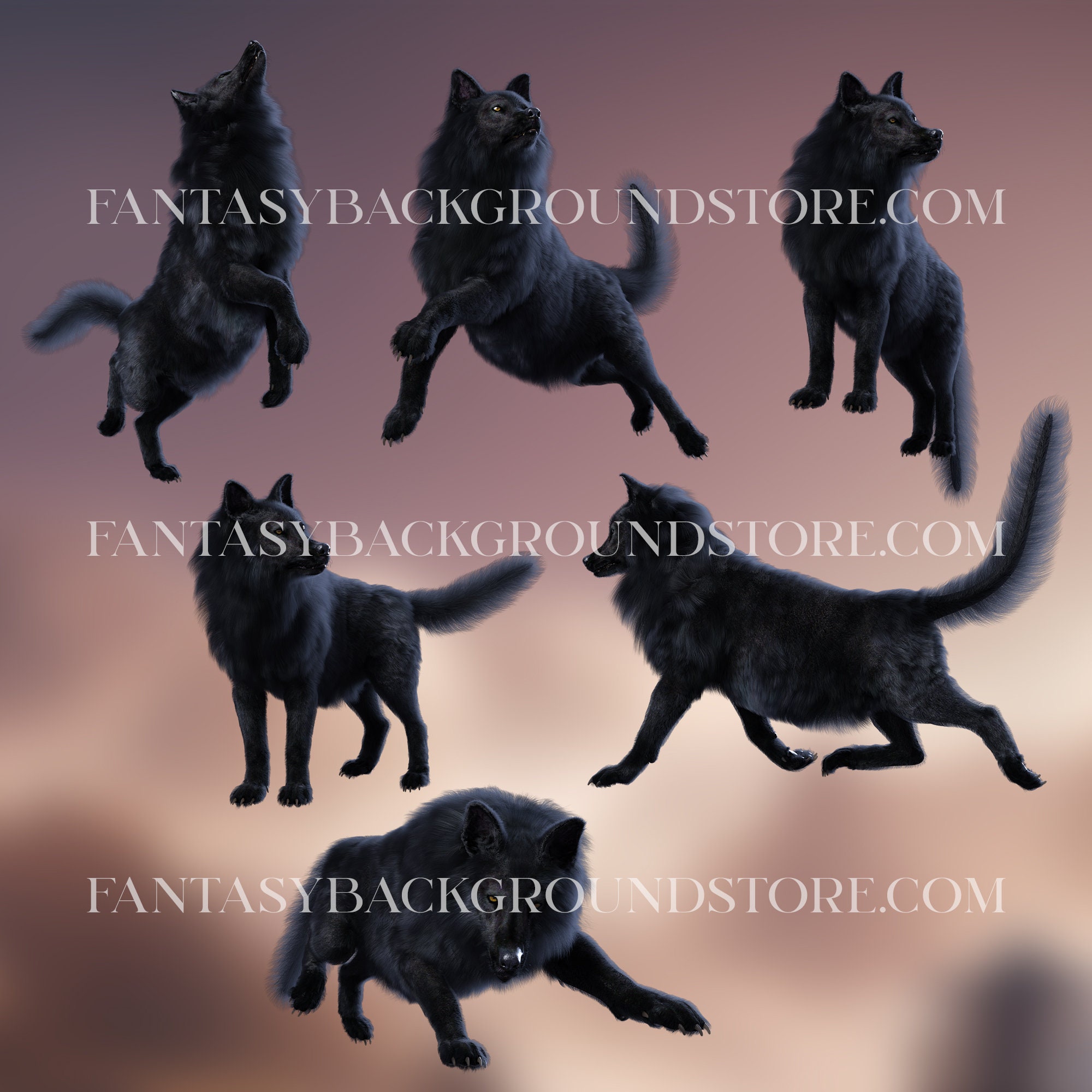 23 Fantasy Wolf Overlays - Etsy