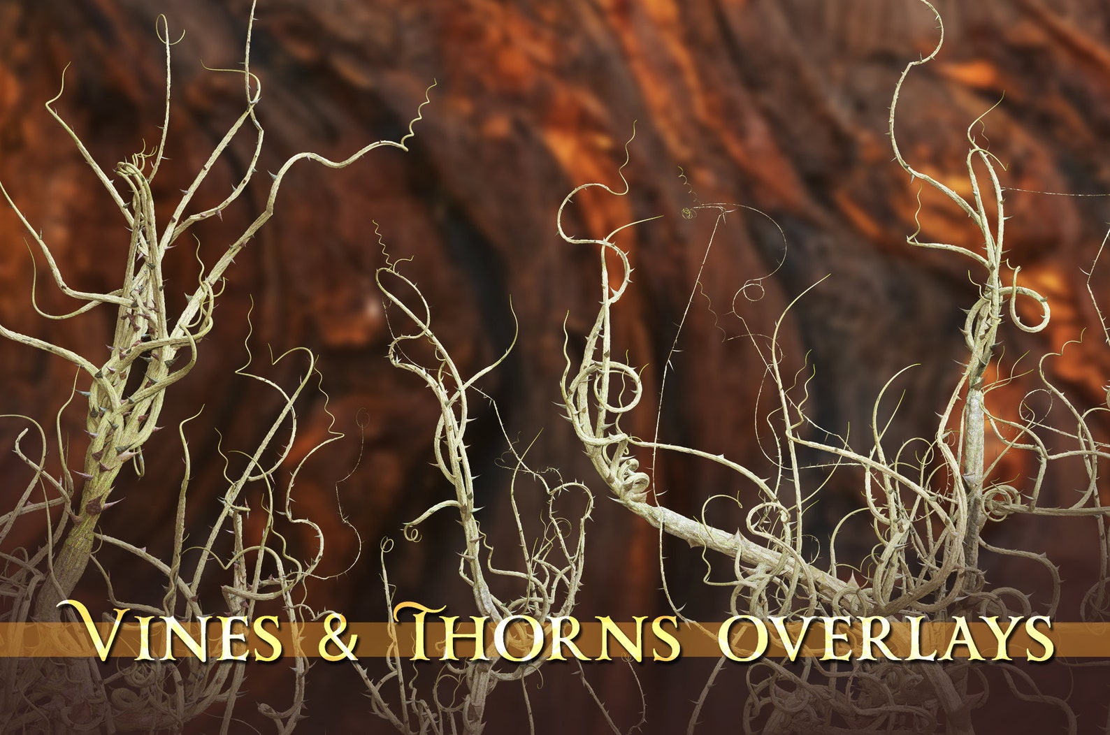 Vines & Thorns Overlays , Digital Vines , Thorns - Etsy