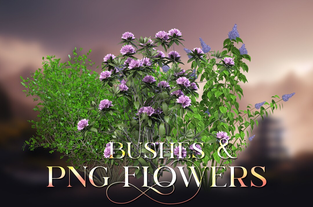 Flores , arbustos superposiciones Backdrop Photo Overlays , Photography ...