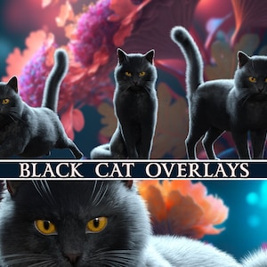 Black Cat Overlays , Cat Fantasy Overlays, Cat Backdrop Photo Overlays , 3d Render - Etsy