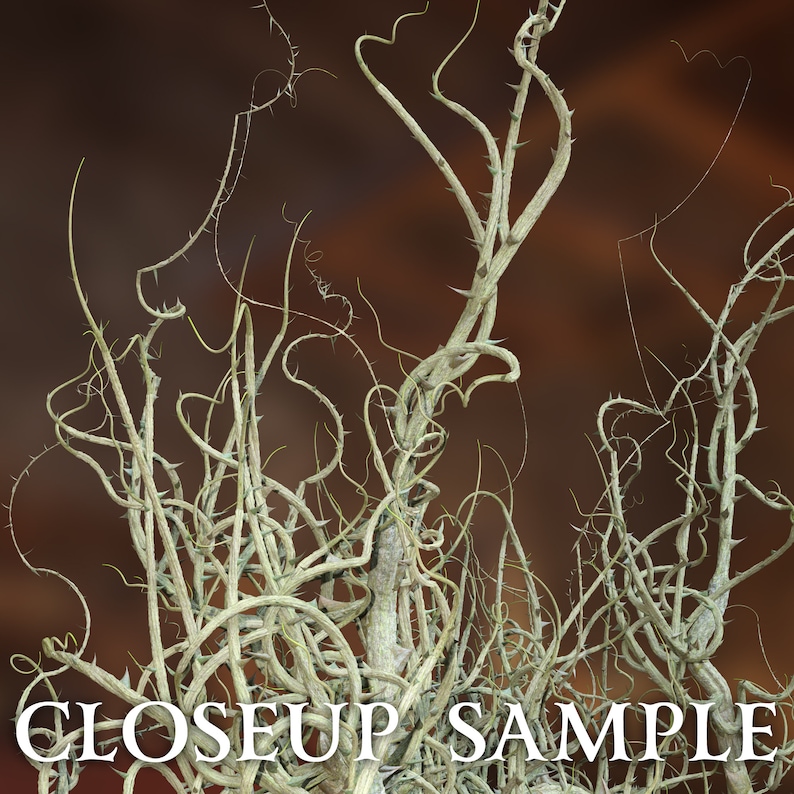 Vines & Thorns Overlays , Digital Vines , Thorns - Etsy