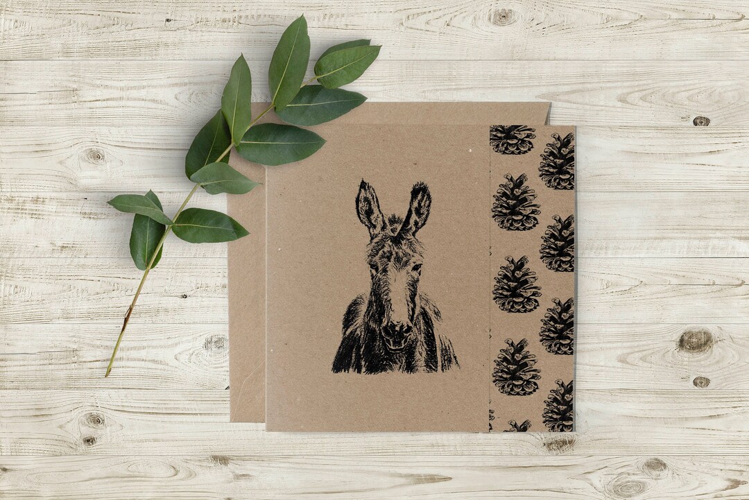 Donkey Birthday Card,cute Card for Her,cute Animal Card,donkey Drawing ...