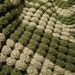 HUNTER GREEN THROW Crochet - Etsy