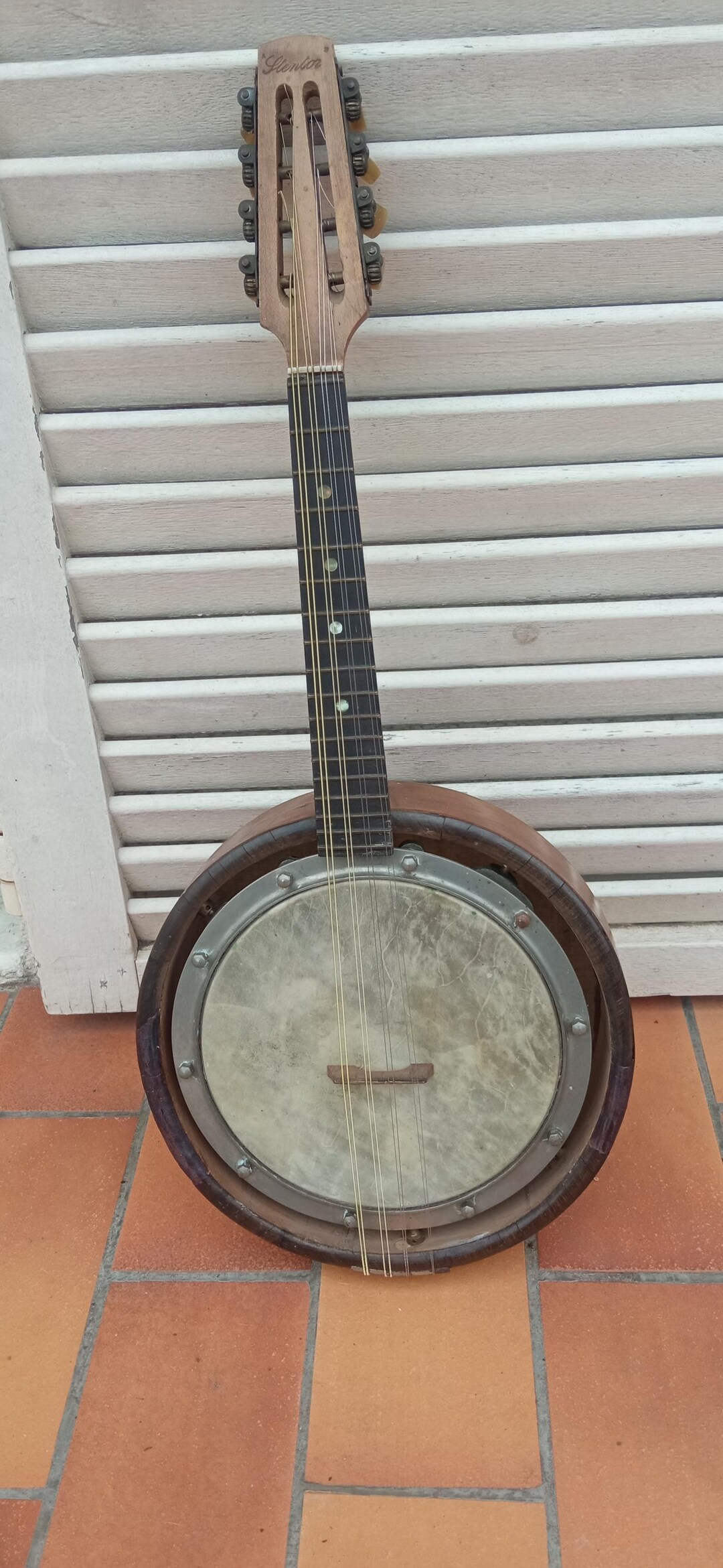 Banjo Banjoline Stentor Circa 1920 - Etsy