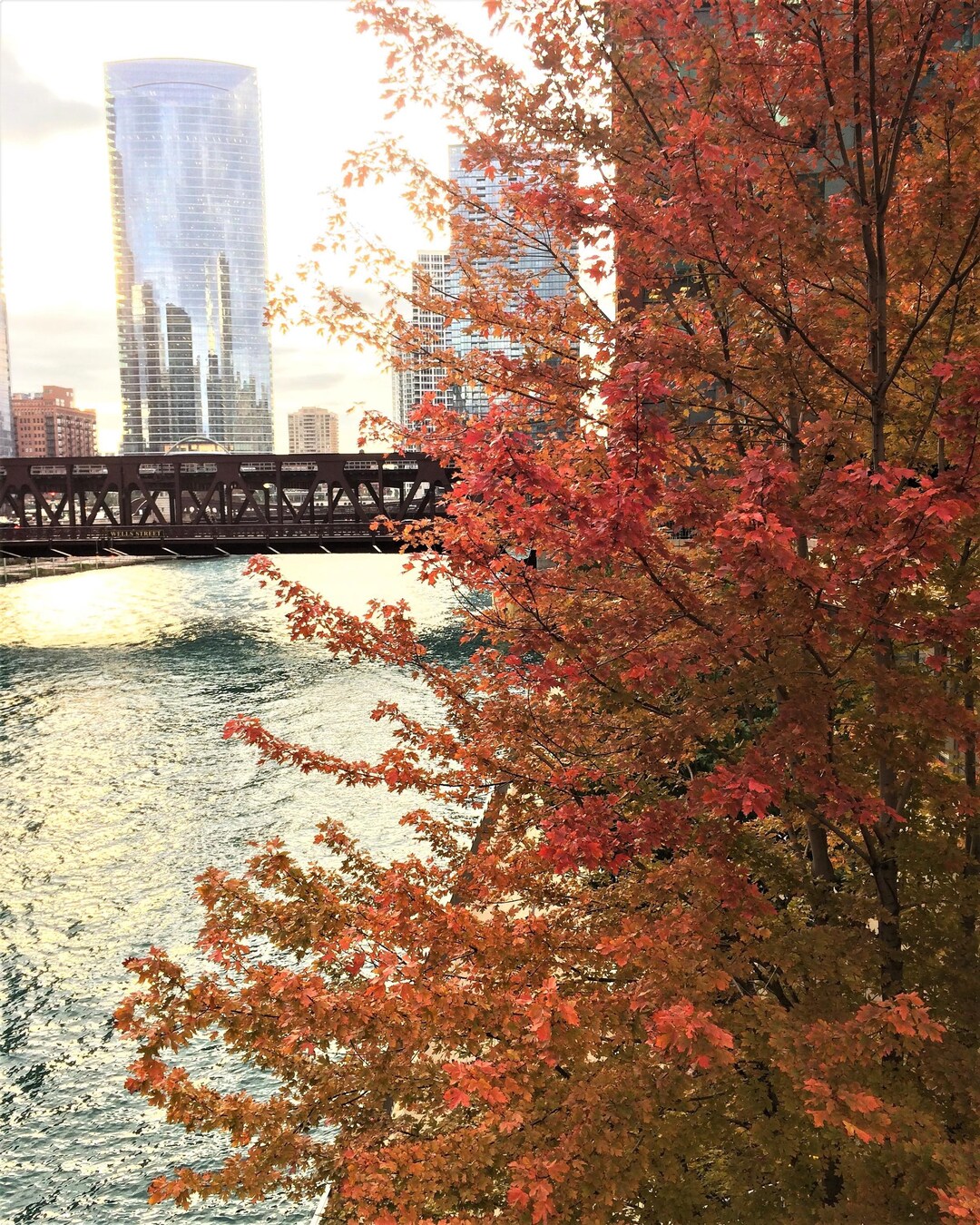 Chicago Autumn River Photo, Evening Sunlight Print - Etsy
