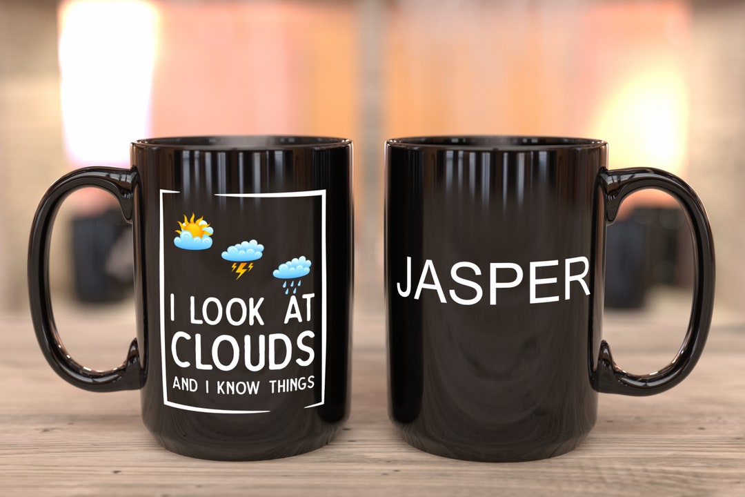 Funny Meteorologist Coffee Mug Cup Storm Chaser Storm Watcher Weather ...