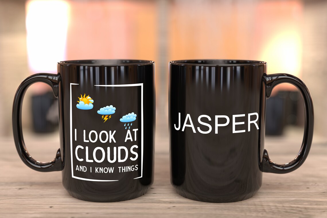 Funny Meteorologist Coffee Mug Cup Storm Chaser Storm - Etsy