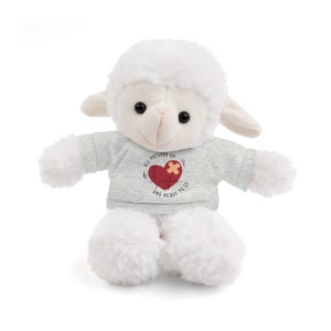 Heart Surgery Teddy Bear |hospital Patient Gift | Open Heart Surgery ...