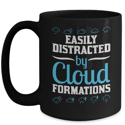 Funny Meteorologist Coffee Mug Cup Storm Chaser Storm - Etsy