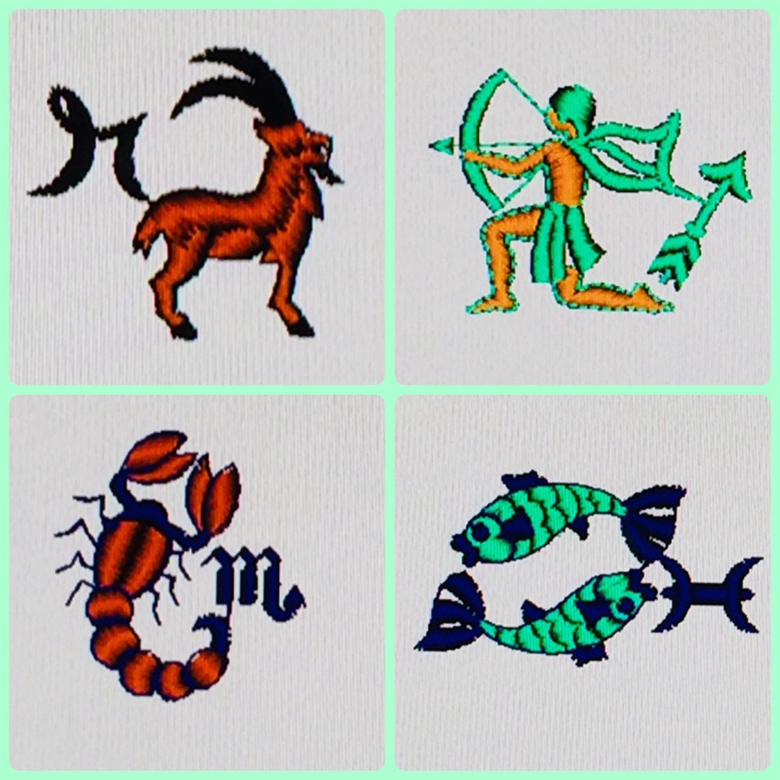 Horoscopes Embroidery Designs Card for Husqvarna Viking Rose - Etsy