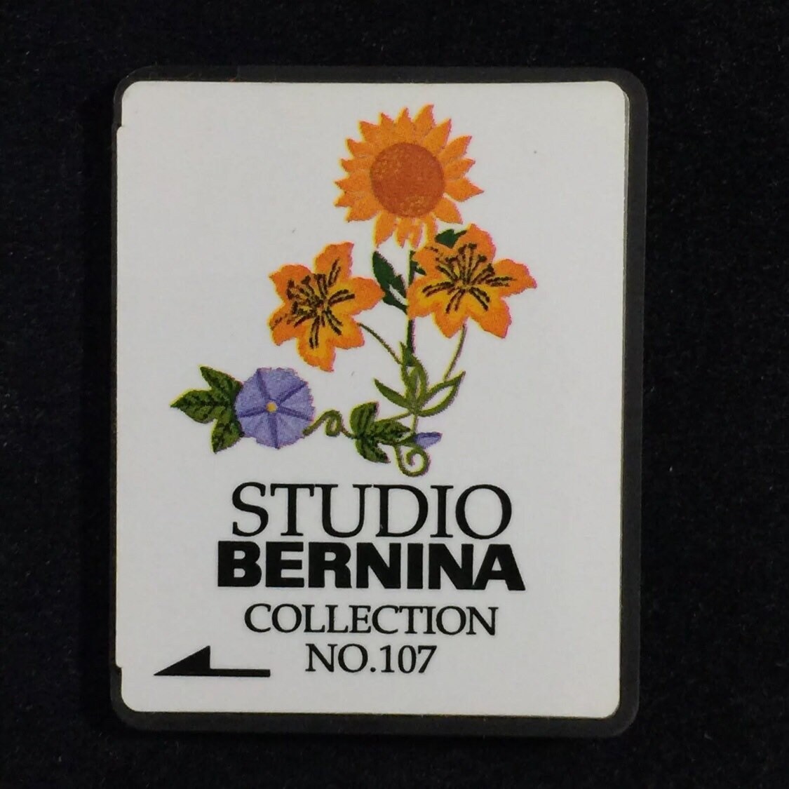 Studio Bernina Embroidery Designs Card #107 for Brother Bernina Deco ...