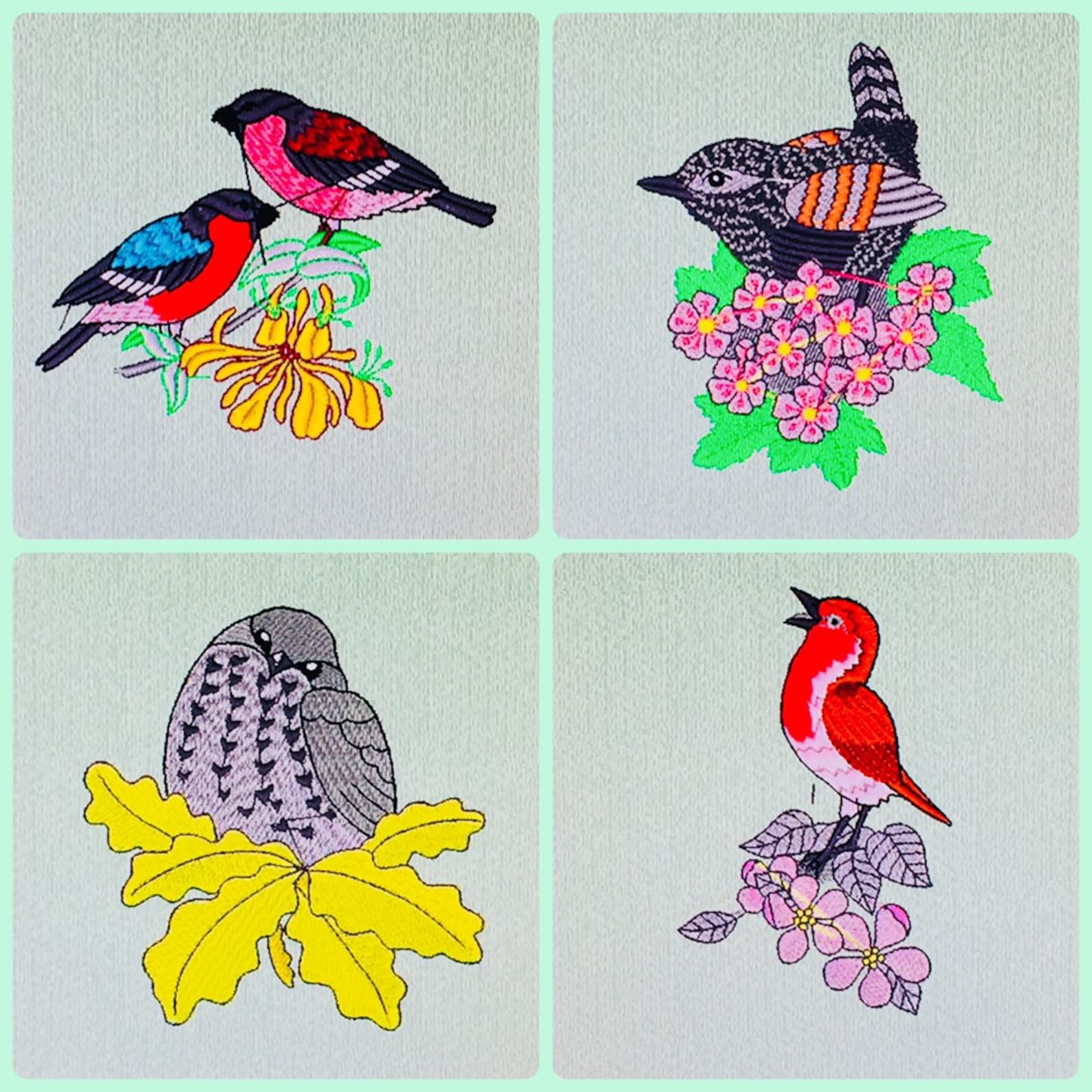 Country Treasures Embroidery Designs Floppy Disk for Husqvarna Viking ...