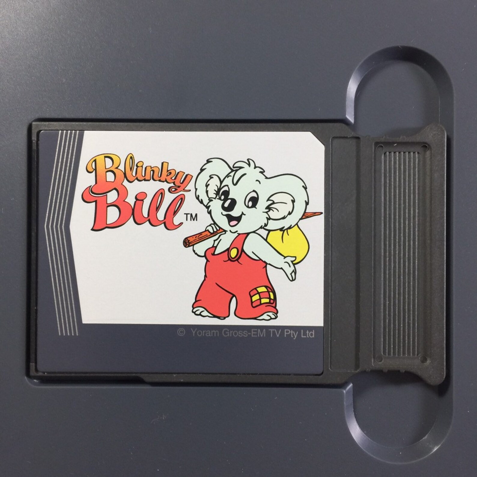 Blinky Bill Mouse Embroidery Designs Card for Janome Elna Kenmore ...