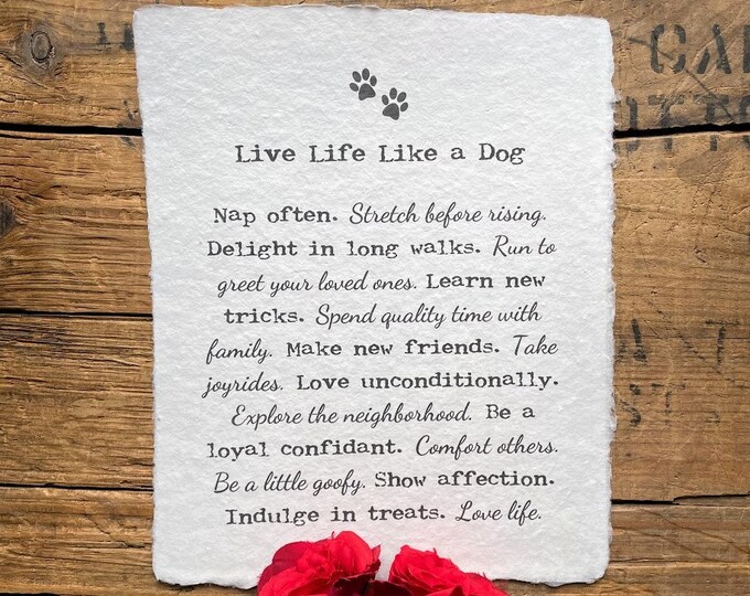 Live Life Like a Dog Print in Typewriter and Script Font on 8x10 or ...