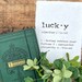 Lucky Definition Print in Typewriter Font on 5x7, 8x10, 11x14 Handmade ...