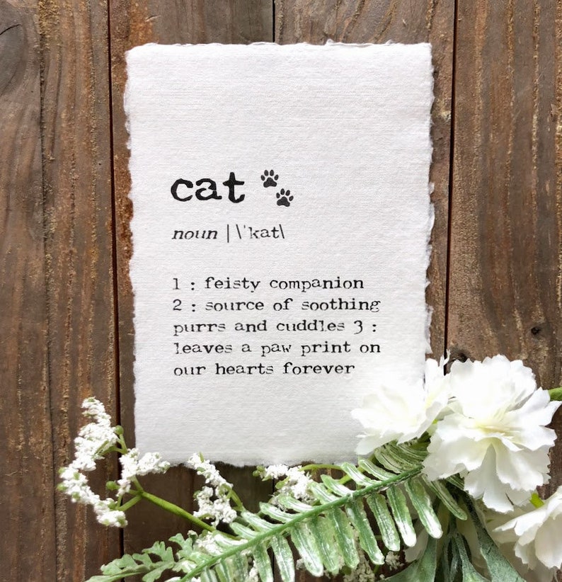 Cat Definition Print With Cat Paw Prints in Typewriter Font on - Etsy