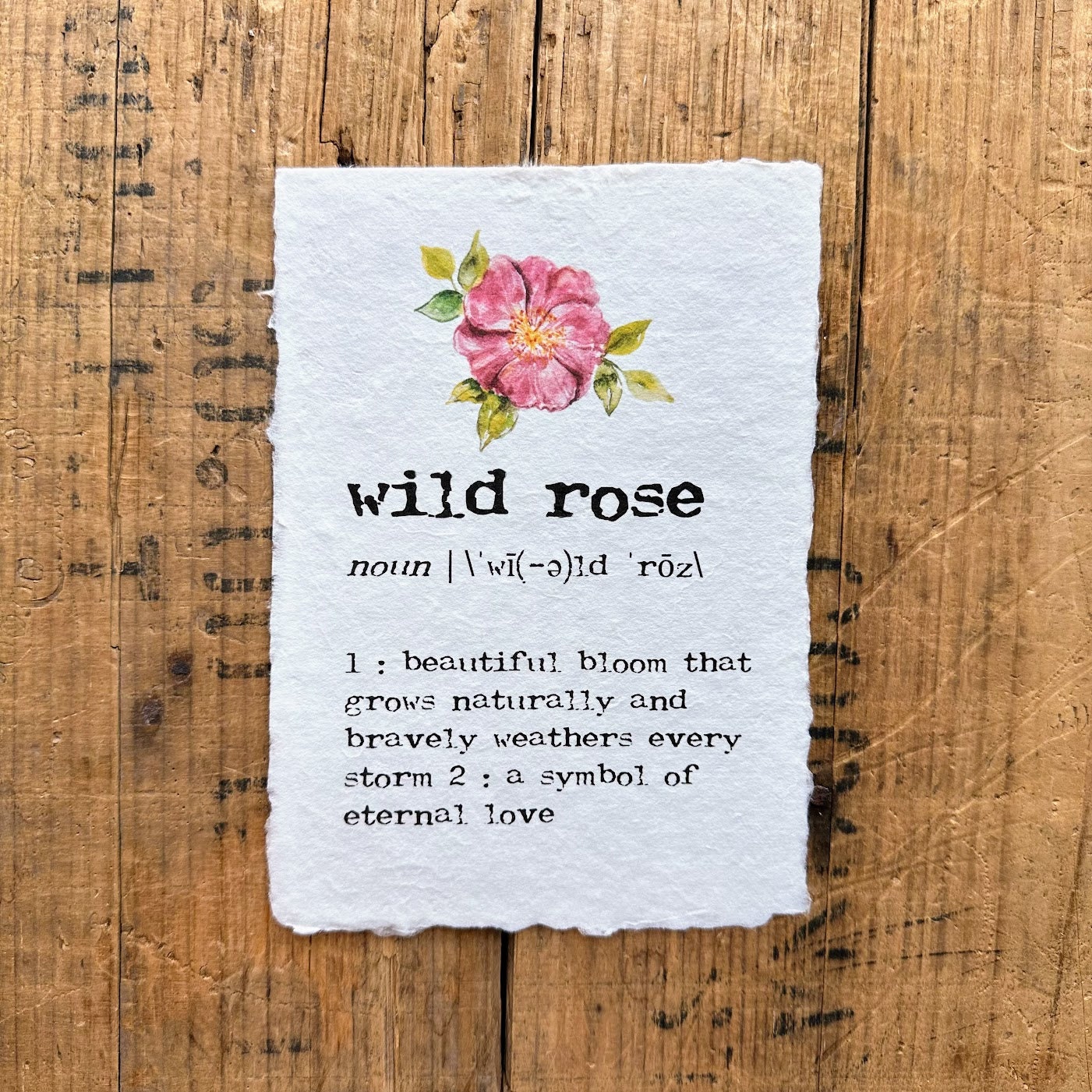 Wild Rose Definition Print in Typewriter Font on Handmade Paper With ...