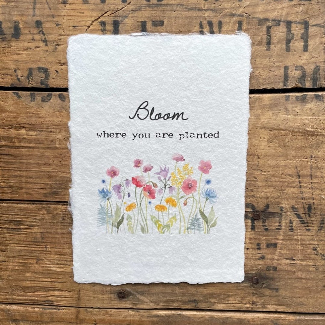 Bloom Where You Are Planted Quote on 5x7, 8x10, 11x14 Handmade Paper ...