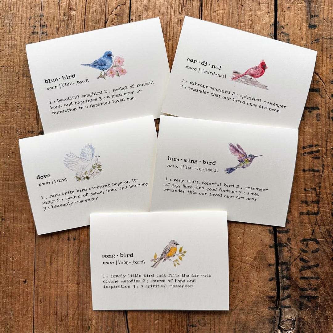 5 Colorful Bird Definition Cards Stationery Bundle With Envelopes and ...